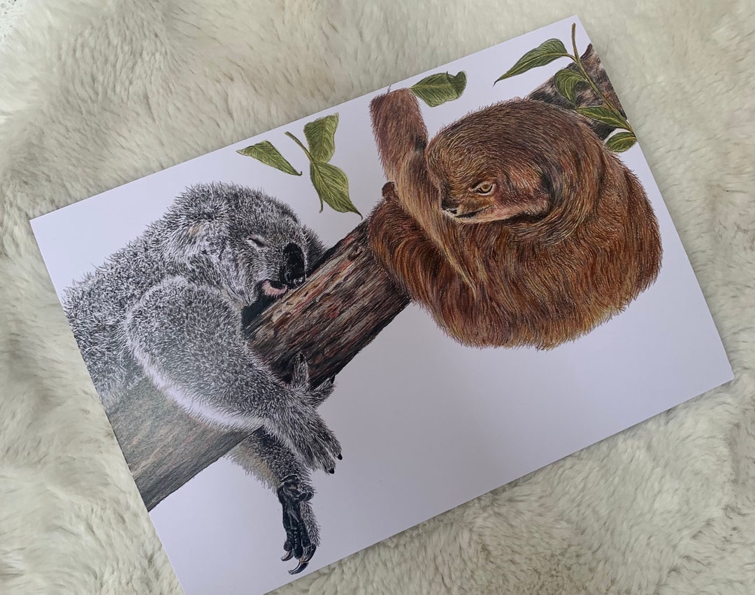 Koala and Sloth Print - Etsy