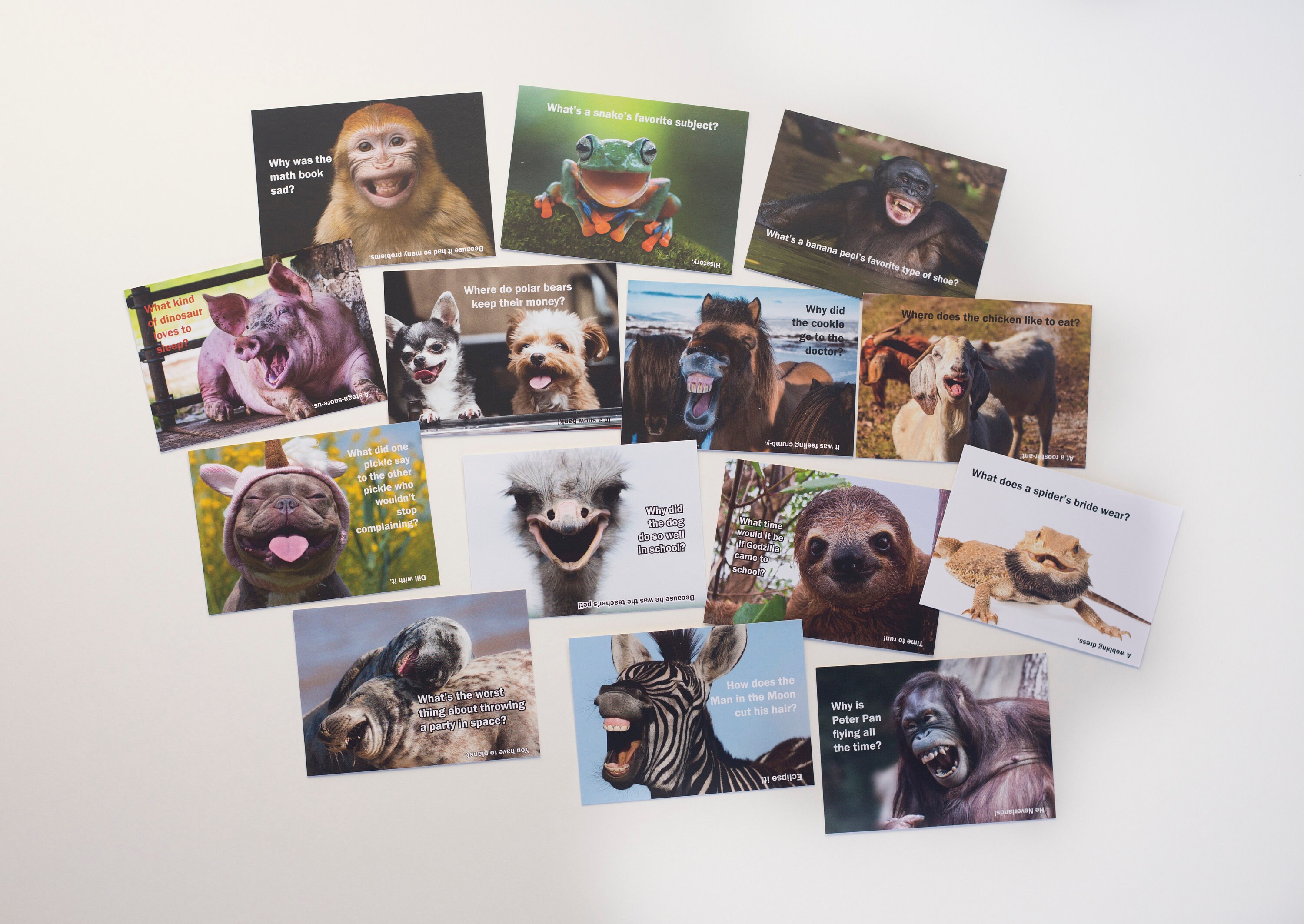 Kids Mini Motivational & Inspirational Lunchbox Funny Animal Cards - Etsy