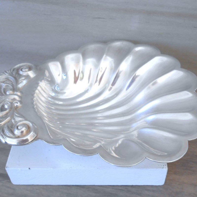 Small Sea Shells - Etsy