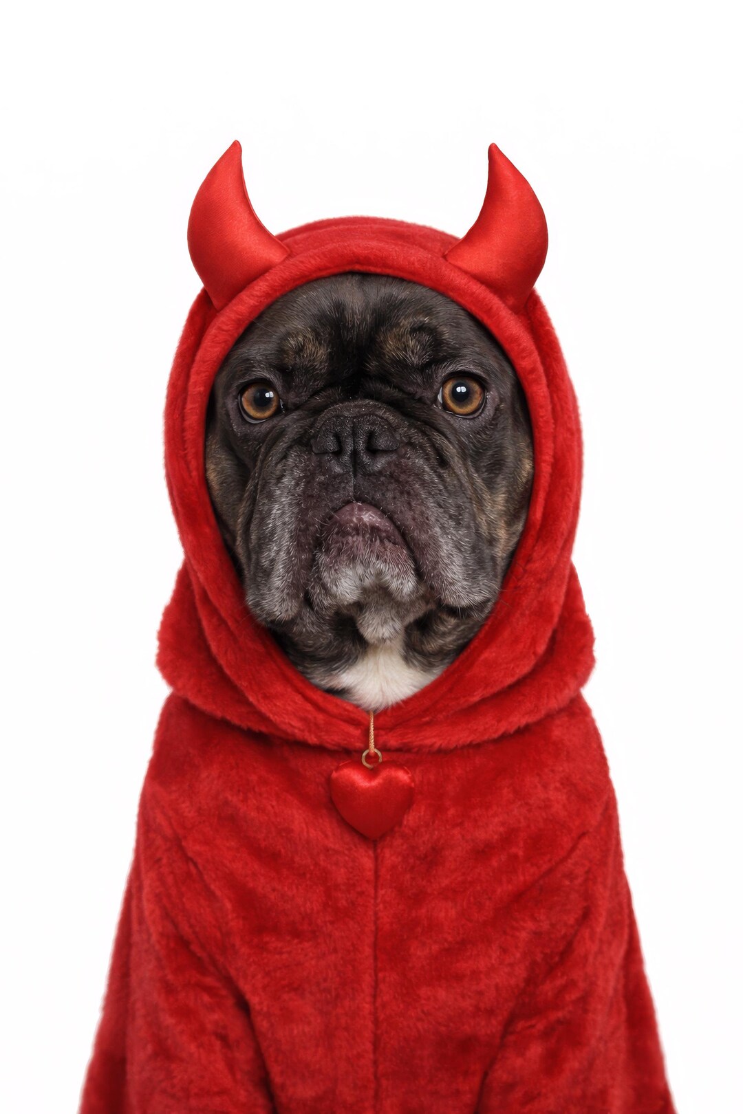 Red Devil Hoodie Custom Dog Illustration With Heart Charm on White ...