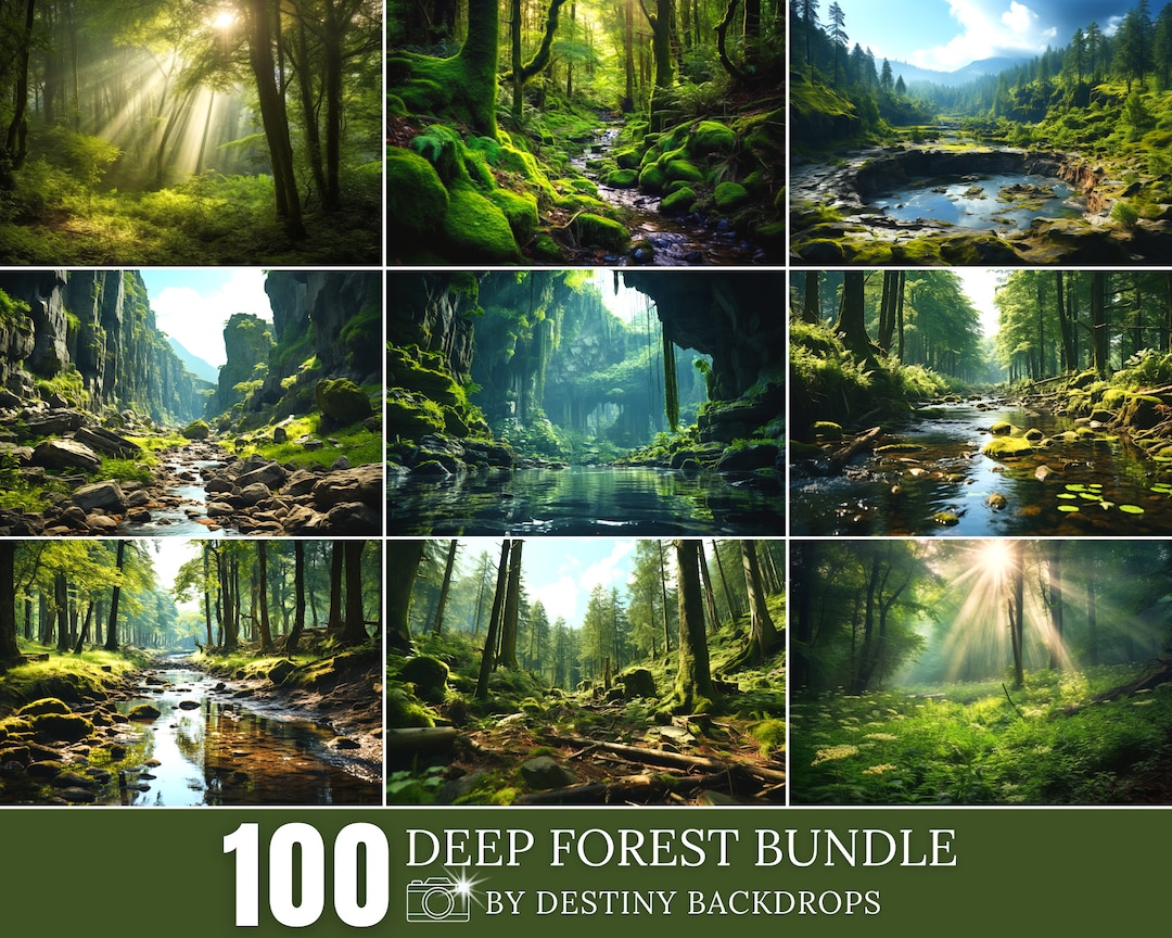 100 Deep Forest Digital Background Creative Composite Wild Forest ...