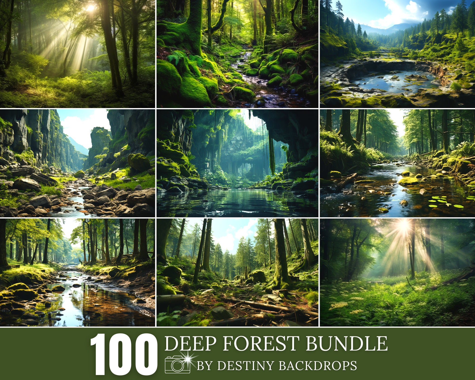 100 Deep Forest Digital Background Creative Composite Wild Forest ...