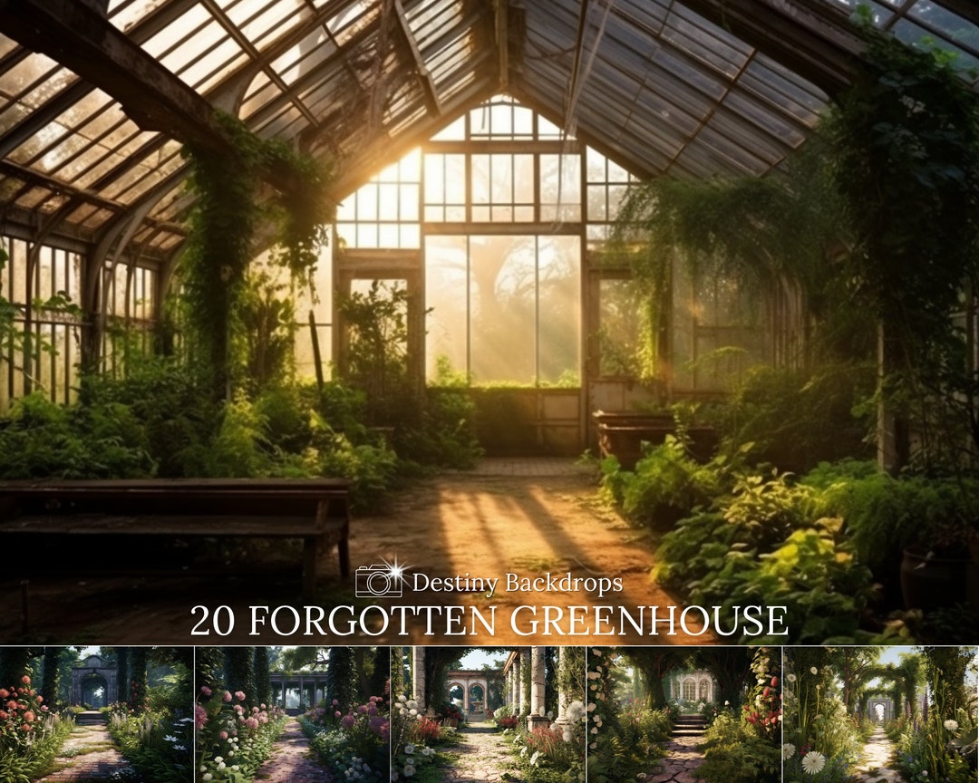 20 Overgrown Forgotten Greenhouse Digital Backdrops Bundle - Etsy
