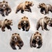45 Bear Digital Overlays Grizzly Bear PNG Clipart Brown Bear Overlay ...