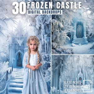 30 Winter Frozen Castle Backdrops Freezing Winter Fantasy Blue Winter ...