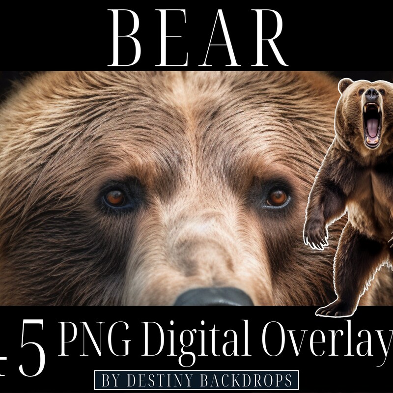 Animal Overlays - Etsy