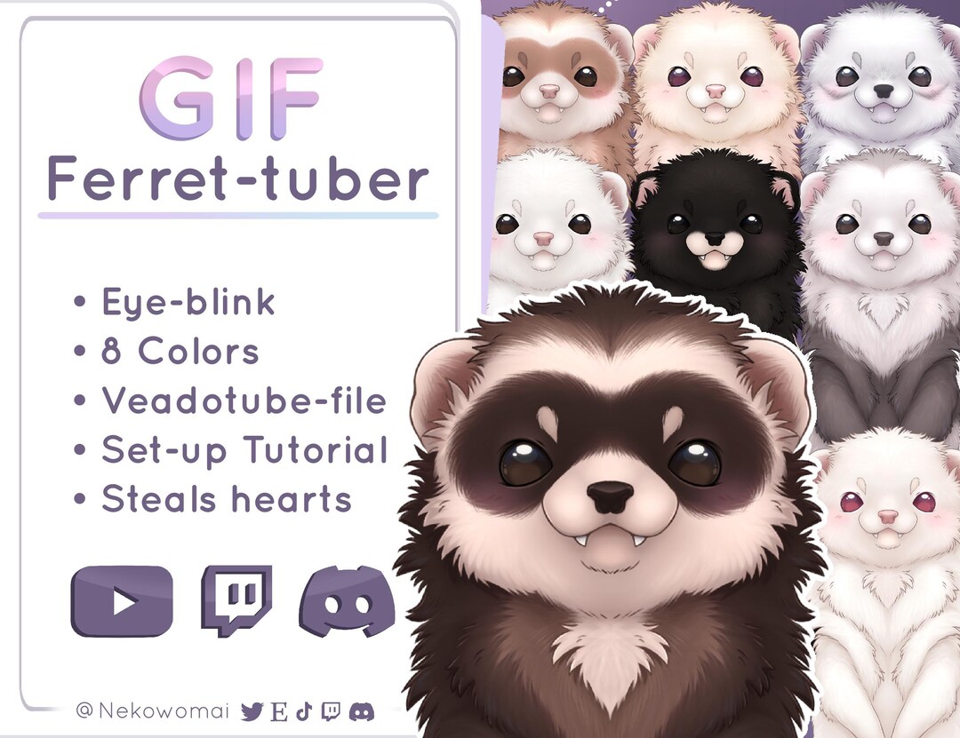 Cute Ferret Giftuber - 8 Natural Colors! - Ready to Use - Pngtuber ...