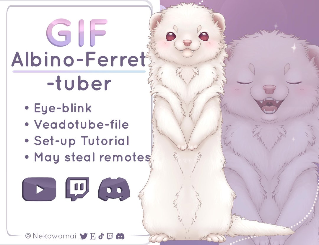 Cute Albino Ferret Giftuber - Ready to Use - Pngtuber Stream Pet - Veadotube - Twitch, Youtube ...
