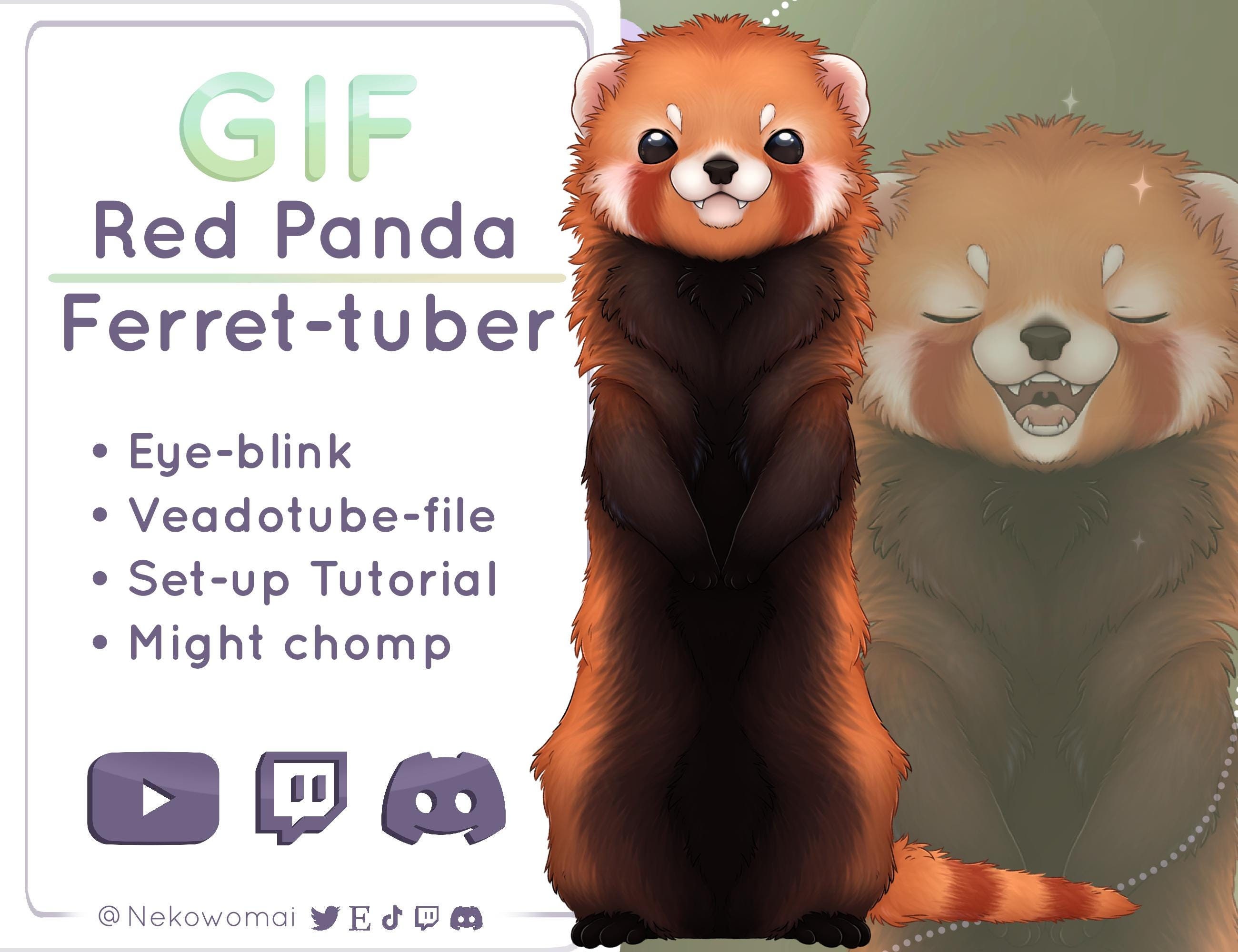 Red Panda Ferret Avatar