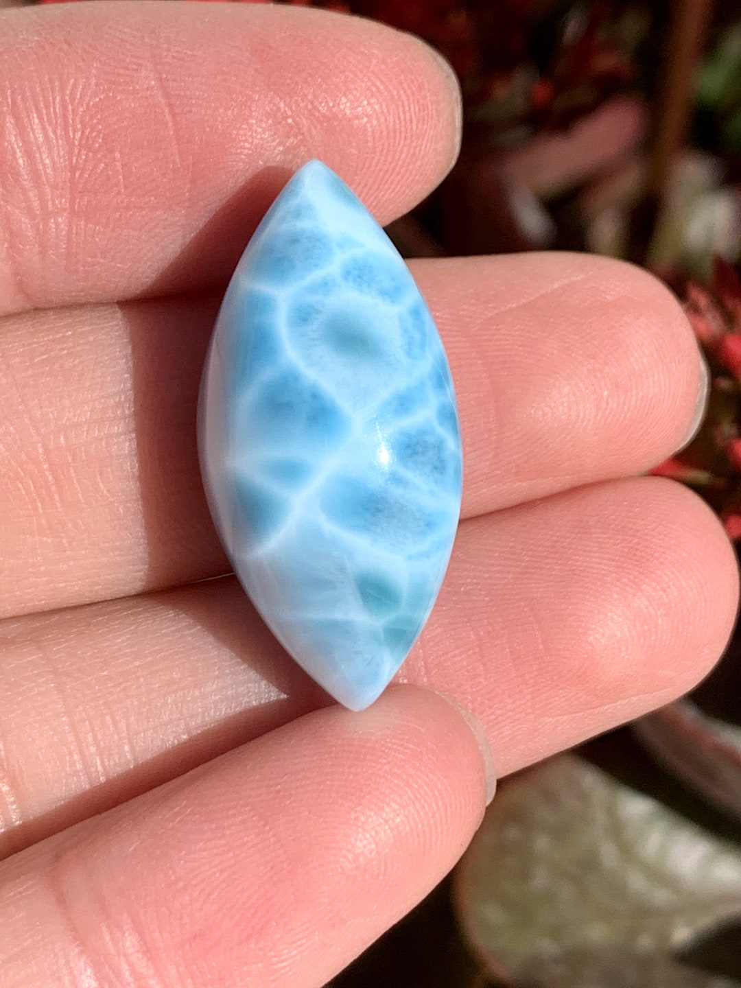 AAA Natural Authentic Dominican Larimar Pendant, Turtle Larimar Pendant ...
