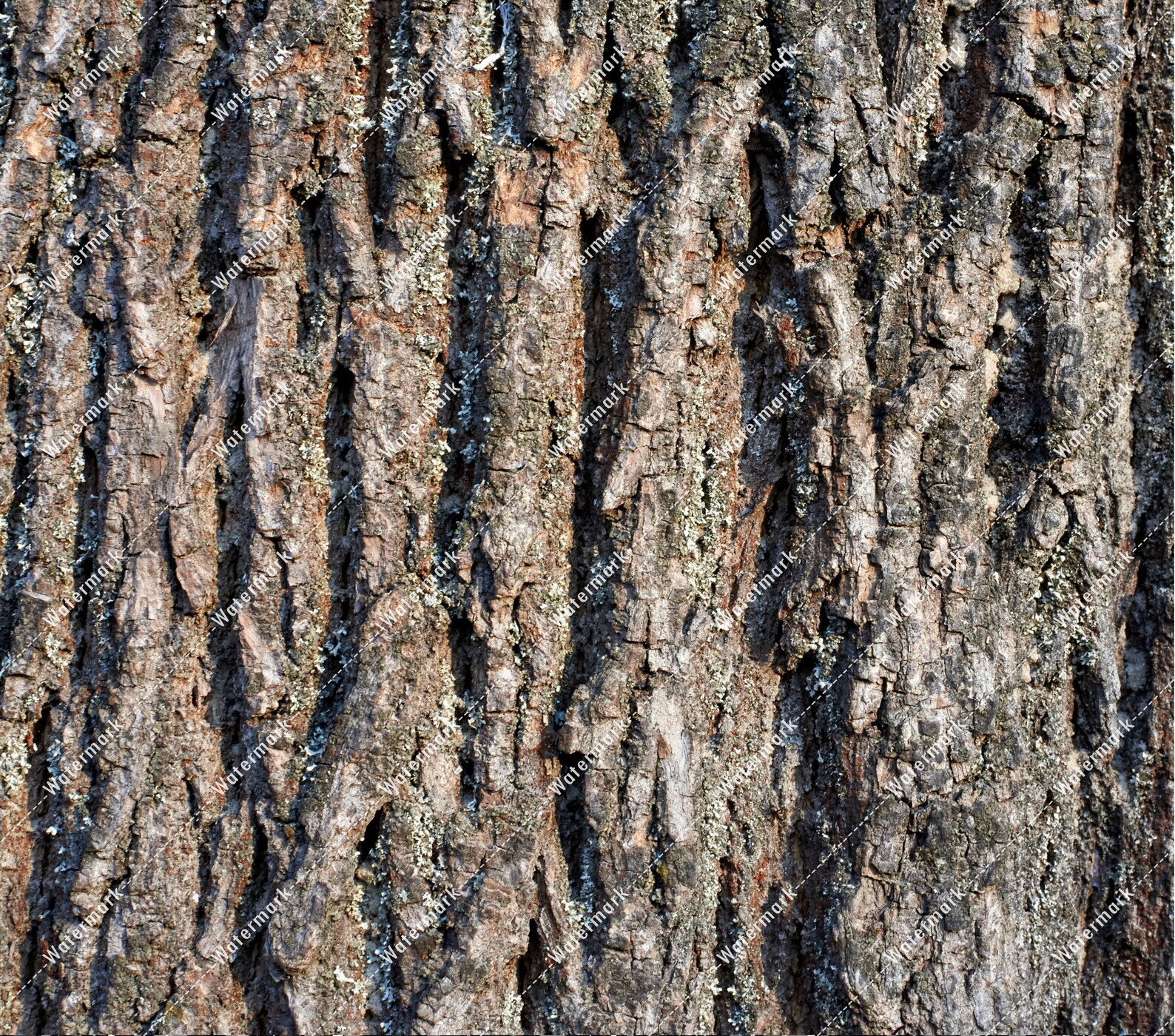 Tree Bark Design for Tumbler, Real Tree Forest Wood Bark, STRAIGHT 20oz ...