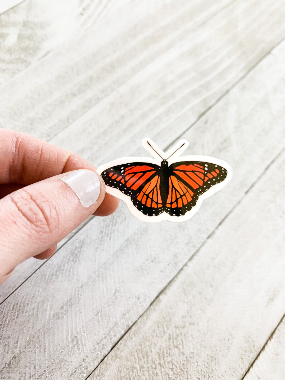 Monarch Butterfly Sticker 2x1.5in Vinyl Sticker for Laptops, Water ...