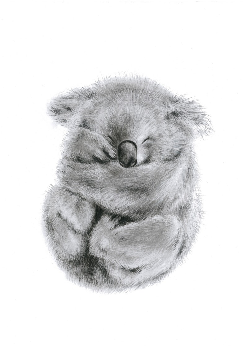 Baby Koala Australian Nursery Art Digital Download Charcoal Drawing by ...