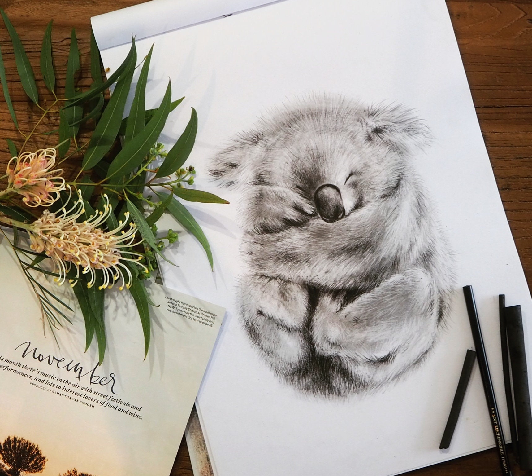 Baby Koala Australian Nursery Art Digital Download Charcoal Drawing by ...