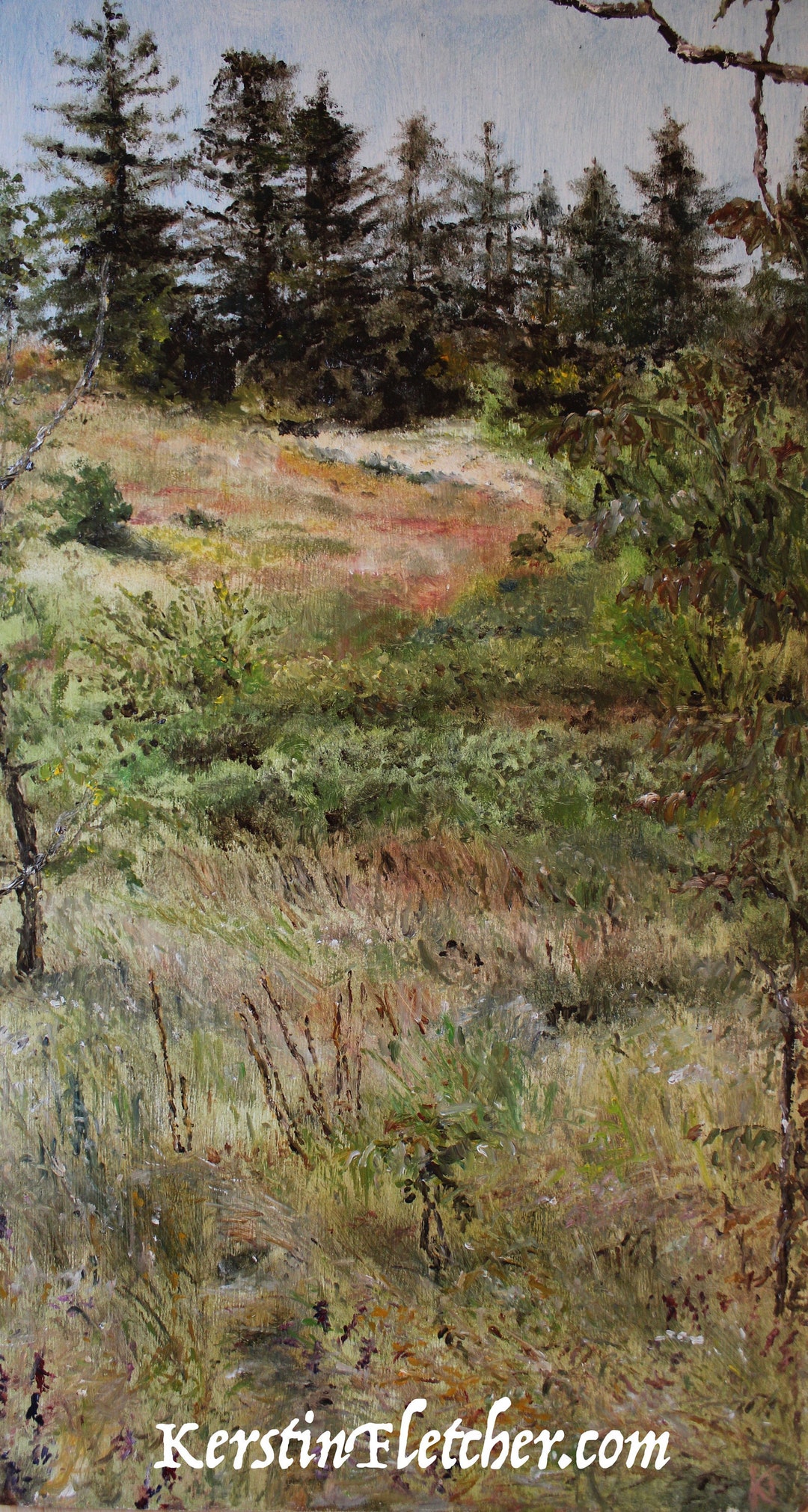 There's Nothing to See Here Landscape--fine Art Print #60 by Kerstin ...