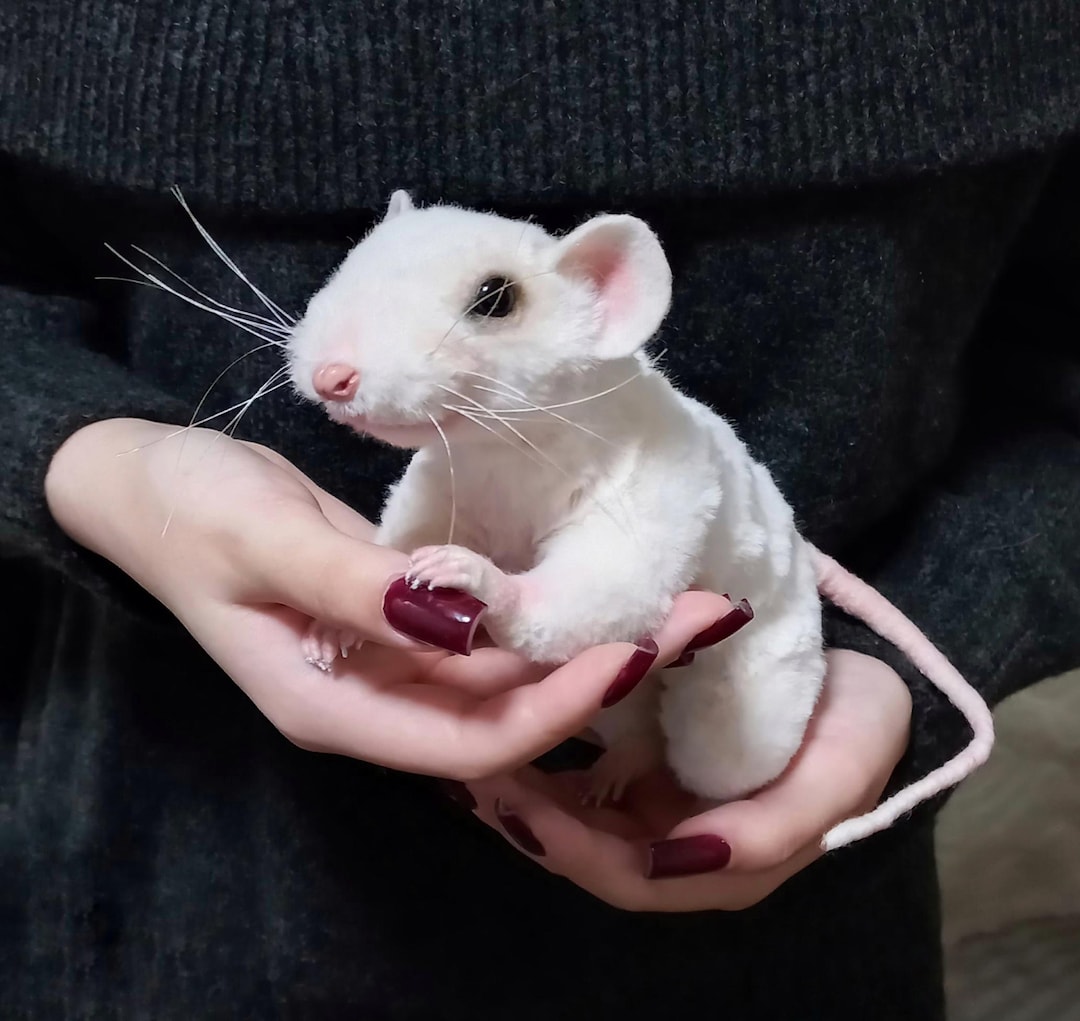 Plush Realistic Rat , Cute Mouse, Dumbo the Rat,white Rat - Etsy