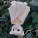 Needle Felted Realistic White Bat. Vampire Bat. Gothic Gift Ideas ...