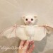 Needle Felted Realistic White Bat. Vampire Bat. Gothic Gift - Etsy