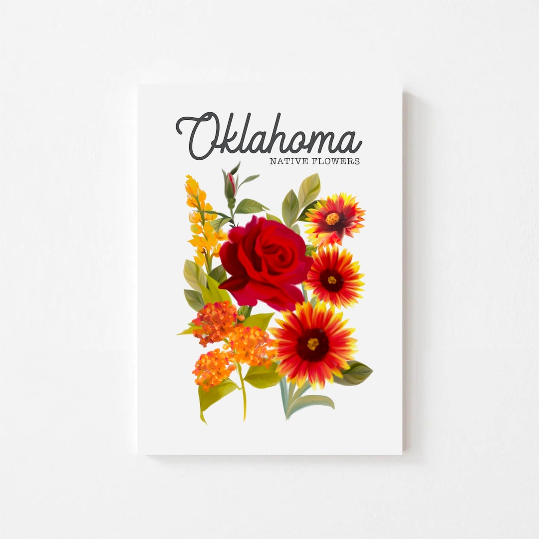 Oklahoma Flower Art Print, State Flowers Art, Oklahoma Art, State ...