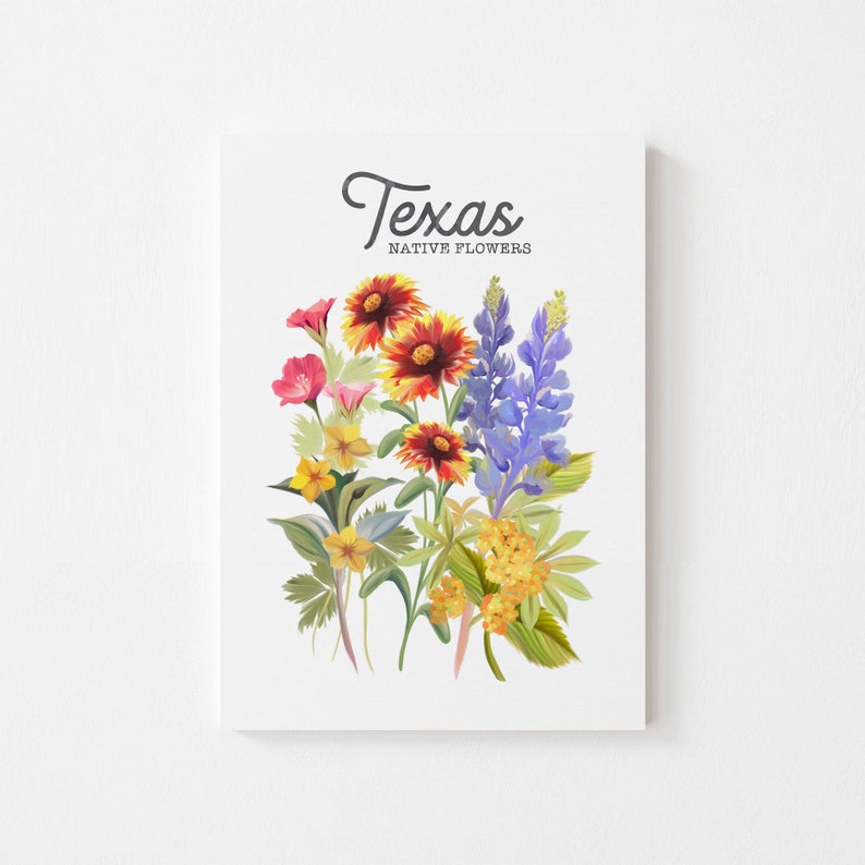 Texas Flower Art Print State Flowers Art Texas Art State - Etsy