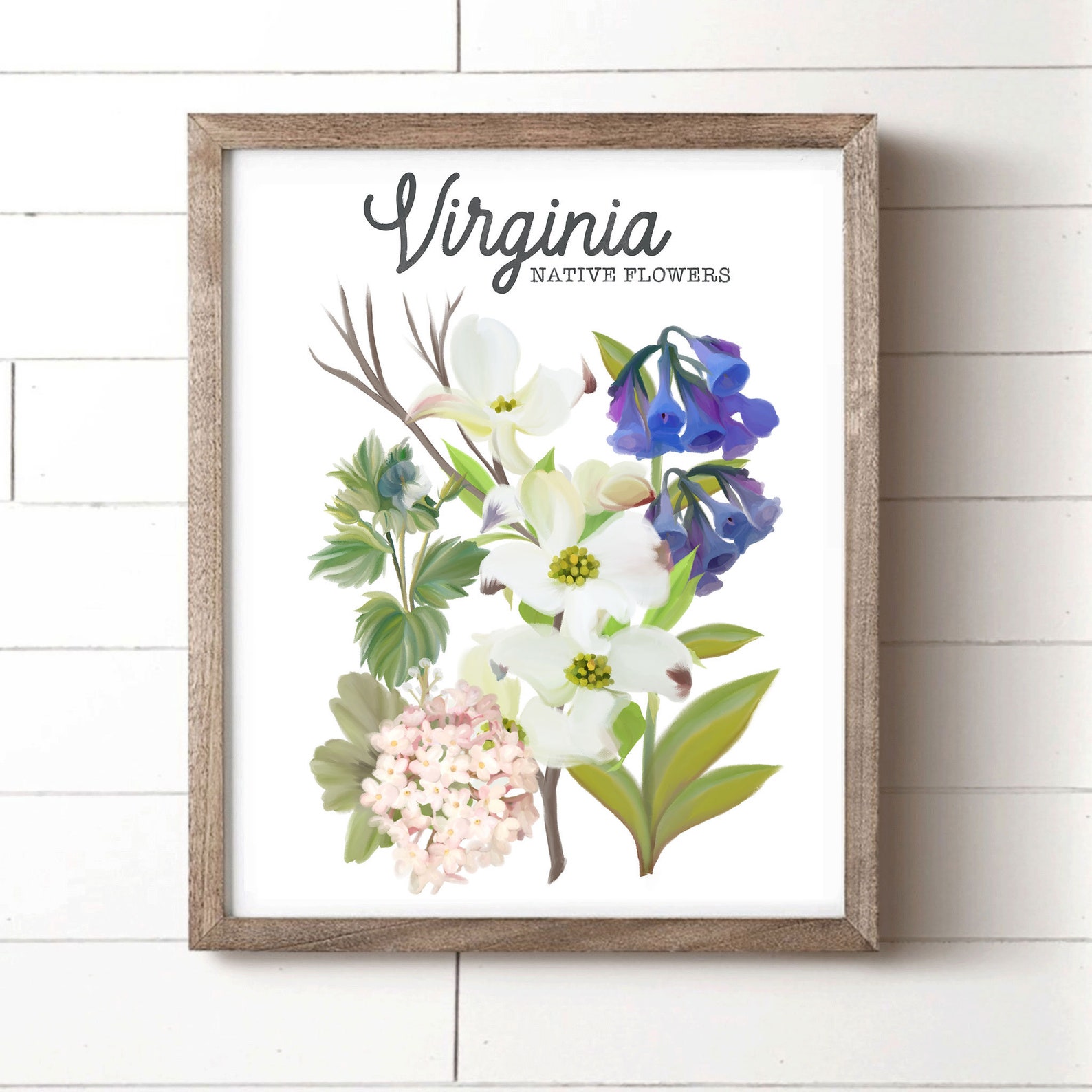 Virginia Flower Art Print State Flowers Art Virginia Art - Etsy