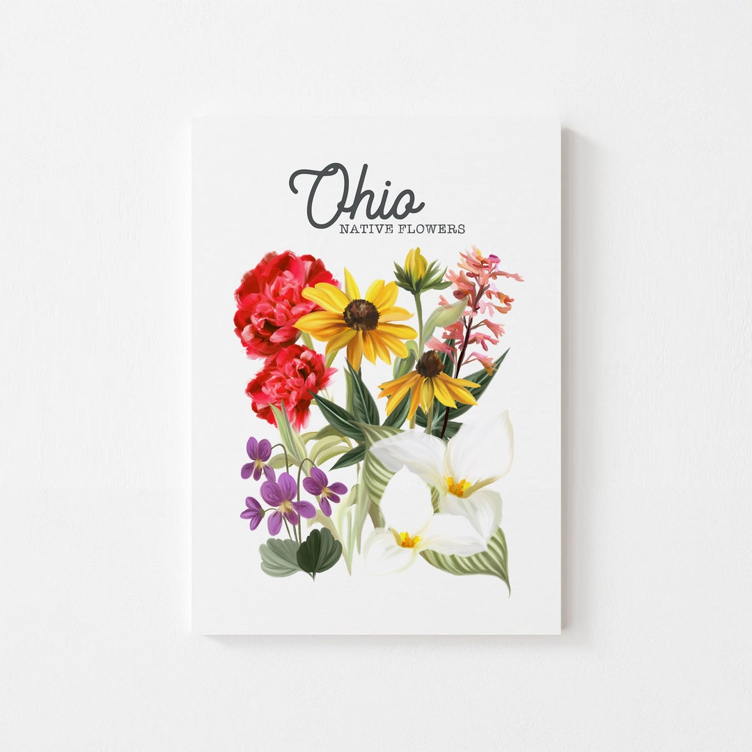 Ohio Flower Art Print, State Flowers Art, Florida Art, State Artwork ...