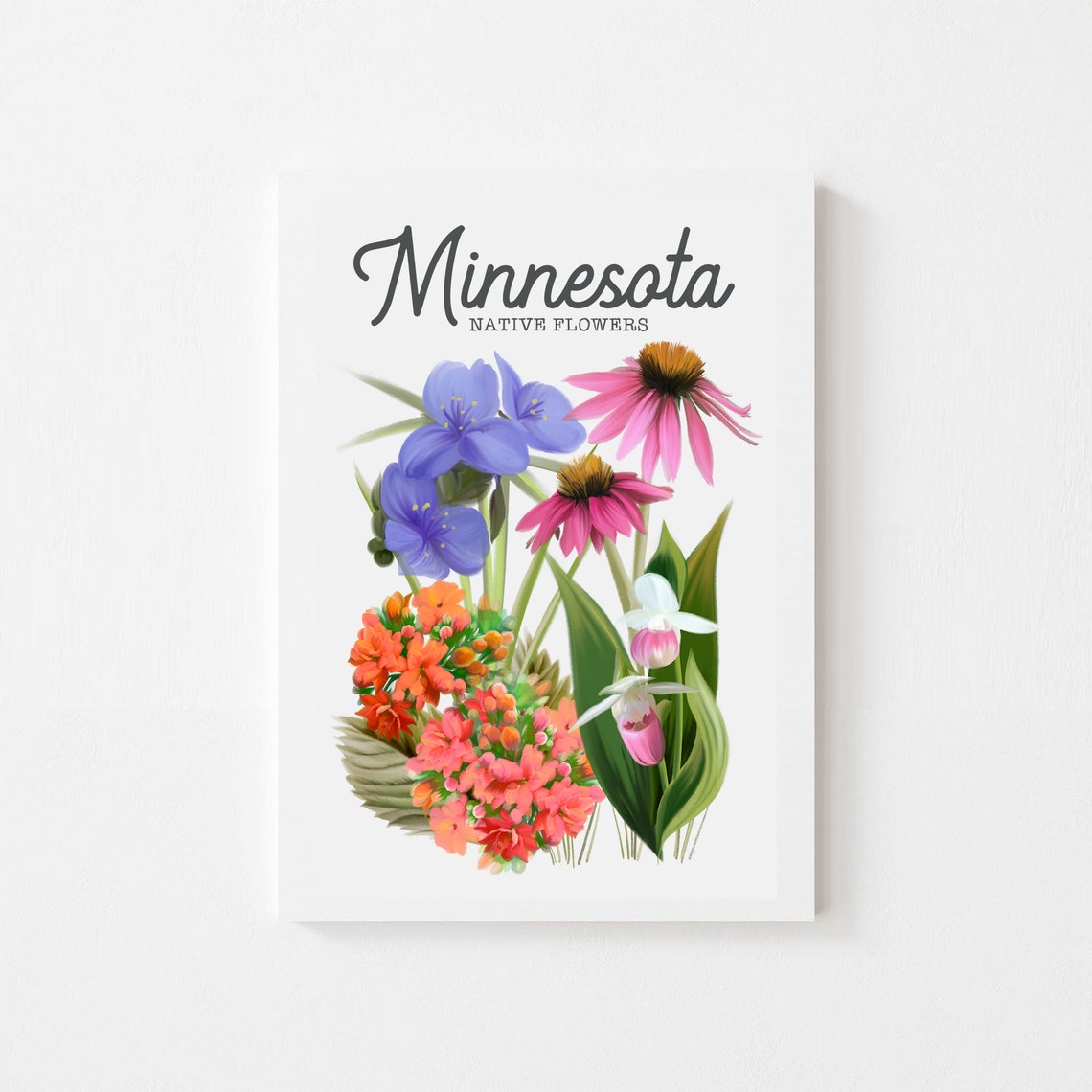 Minnesota Flower Art Print State Flowers Art Minnesota Art - Etsy.de