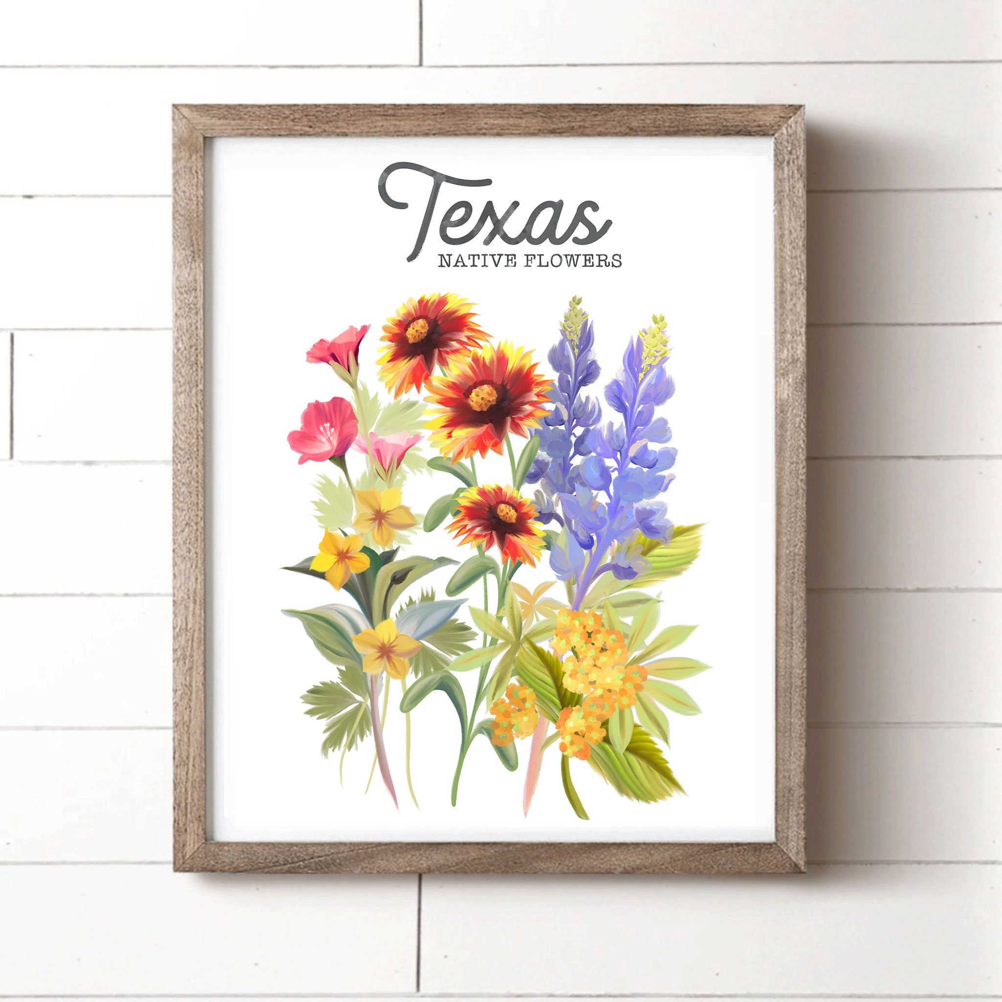 Texas Flower Art Print State Flowers Art Texas Art State - Etsy
