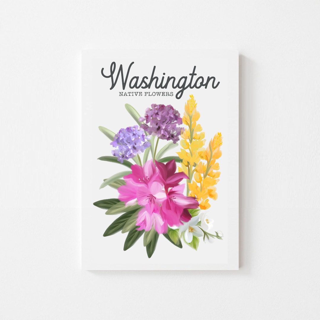 Washington Flower Art Print, State Flowers Art, Washington Art, State ...