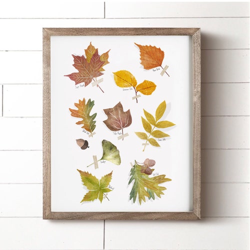 Fall Leaves Print Set Autumn Wall Decor Fall Wall Art - Etsy