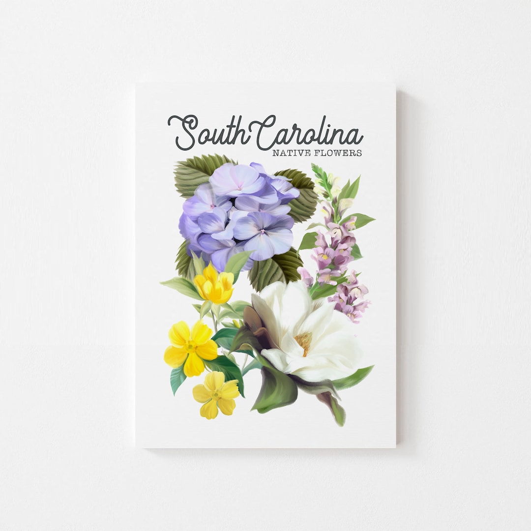 South Carolina Flower Art Print, State Flowers Art, Florida Art, State ...