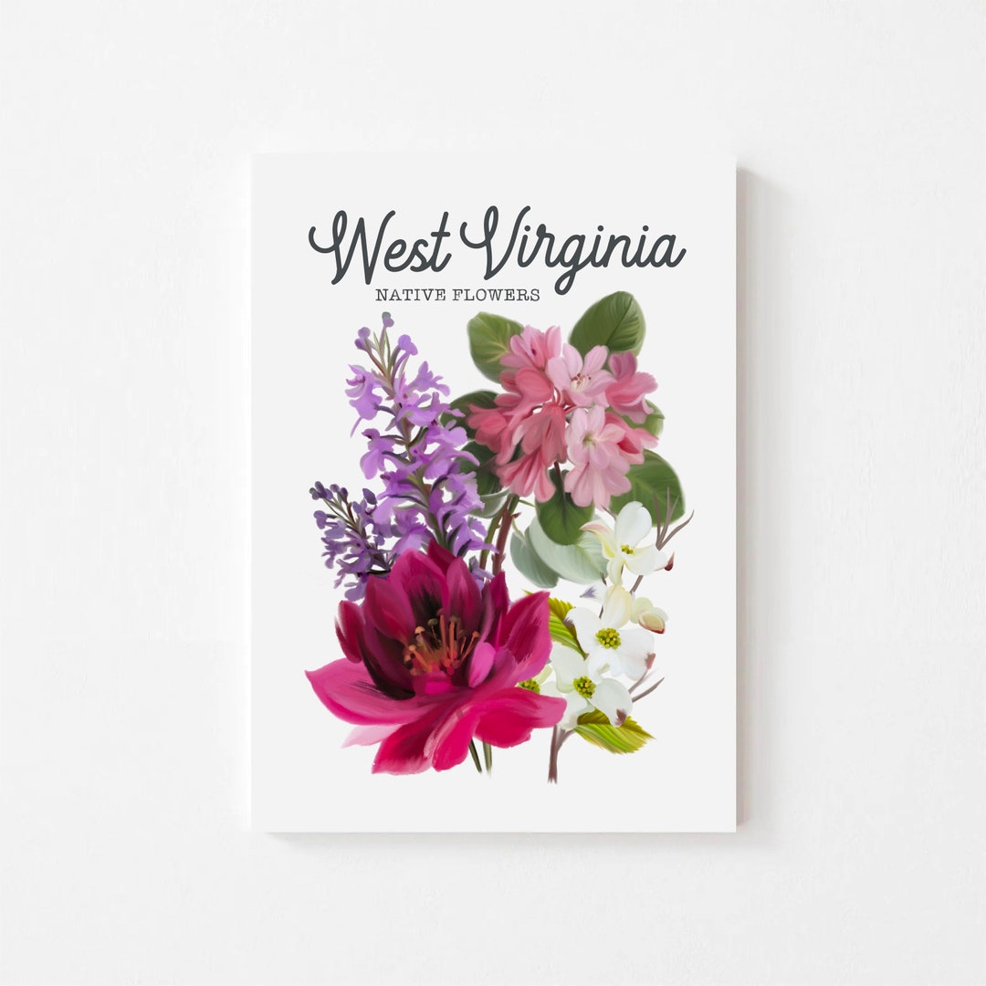 West Virginia Flower Art Print, State Flowers Art, West Virginia Art ...
