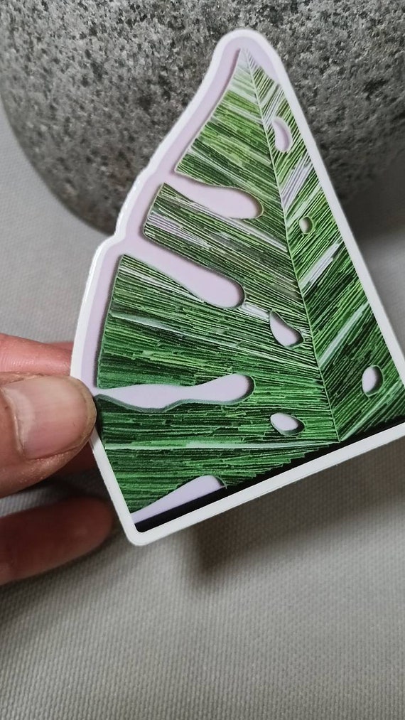 Variegated Monstera Leaf Sticker - Etsy