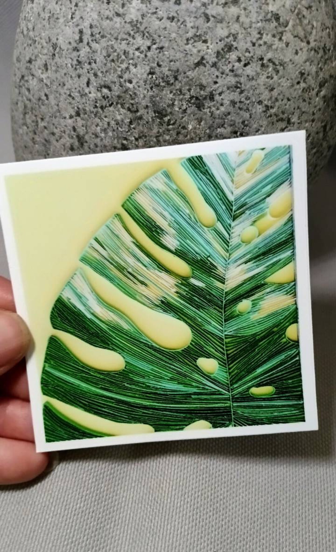 Variegated Monstera Leaf Plant Sticker - Etsy