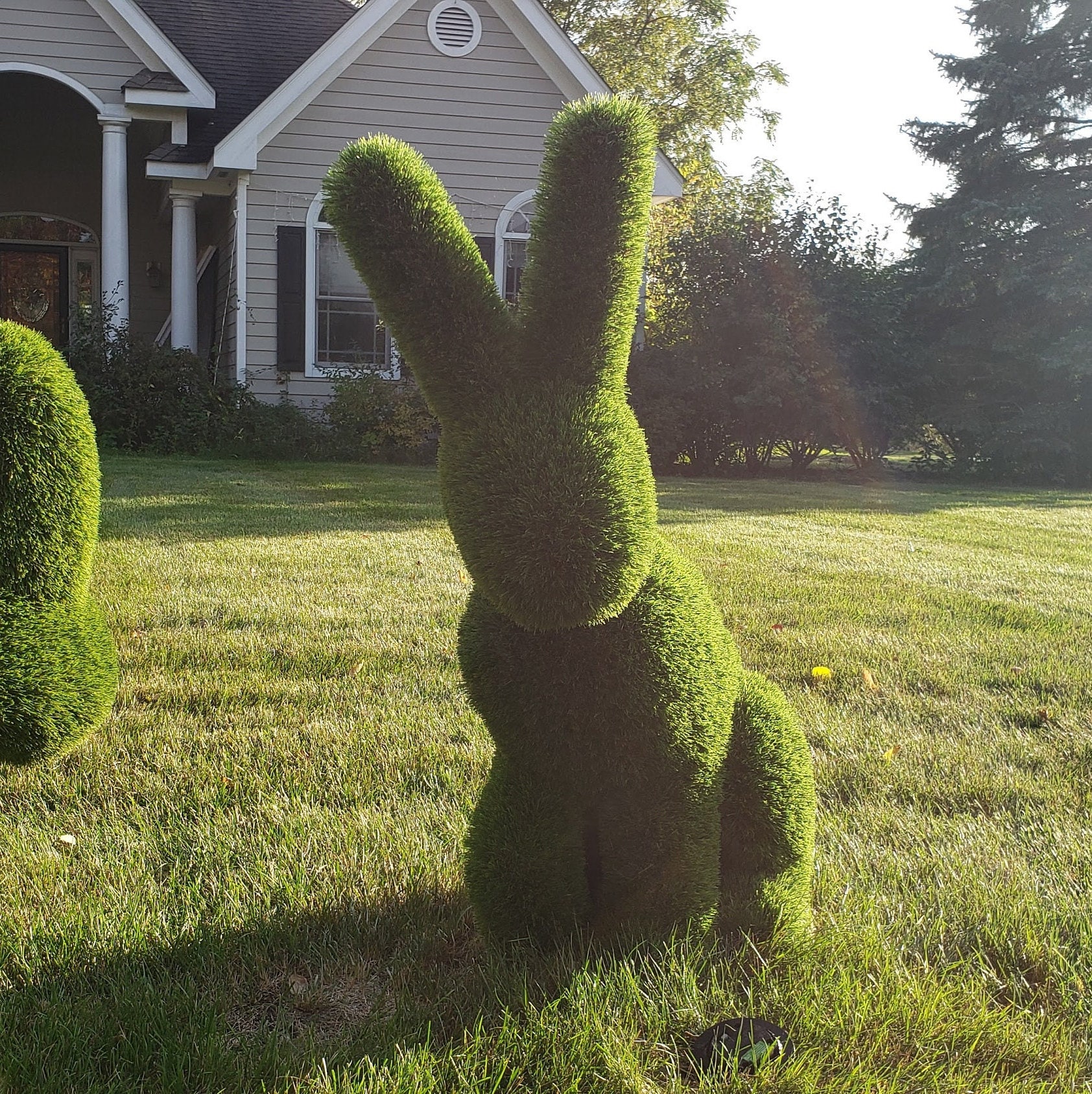 Outdoor Animal Standing Rabbit Topiary Green Figures 43" Covered in ...