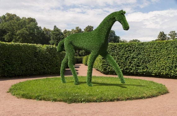 Boxwood Topiary Animals