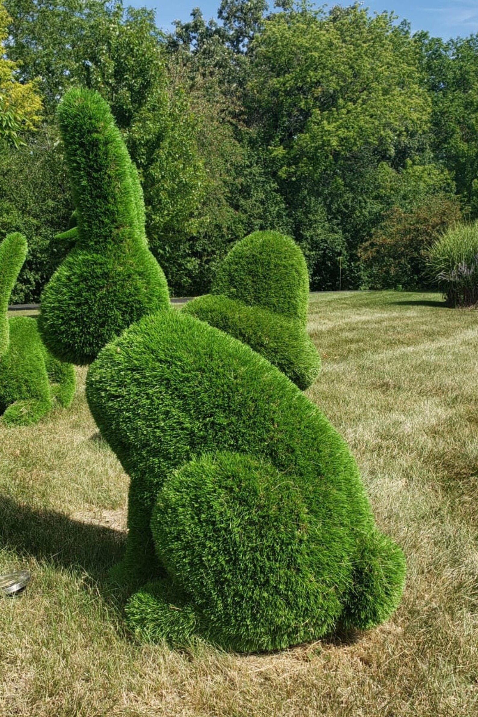 Outdoor Animal Standing Rabbit Topiary Green Figures 43" Covered in ...