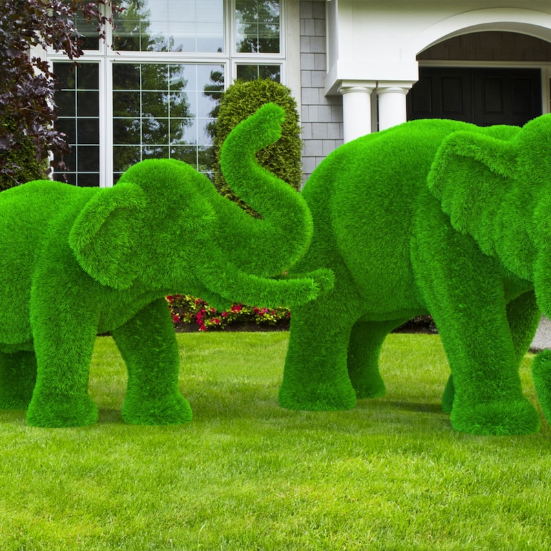 Topiary Frames - Etsy