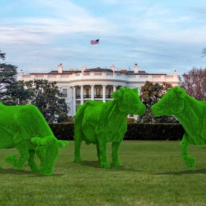 Outdoor Cows Topiary Green Figures Covered in Artificial Grass ...