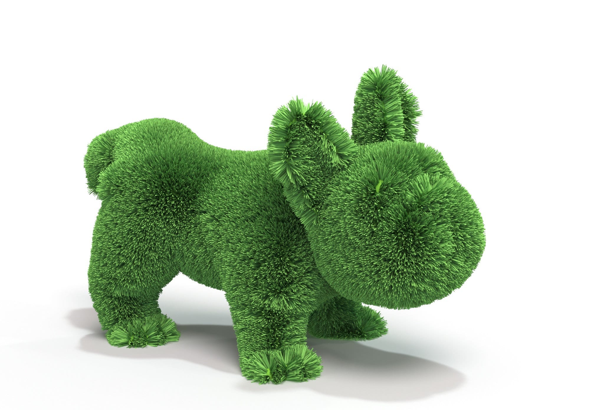 Faux Grass French Bulldog Garden and Yard Decoration Topiary: Outdoor ...