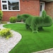 Faux Grass French Bulldog Garden and Yard Decoration Topiary: Outdoor ...