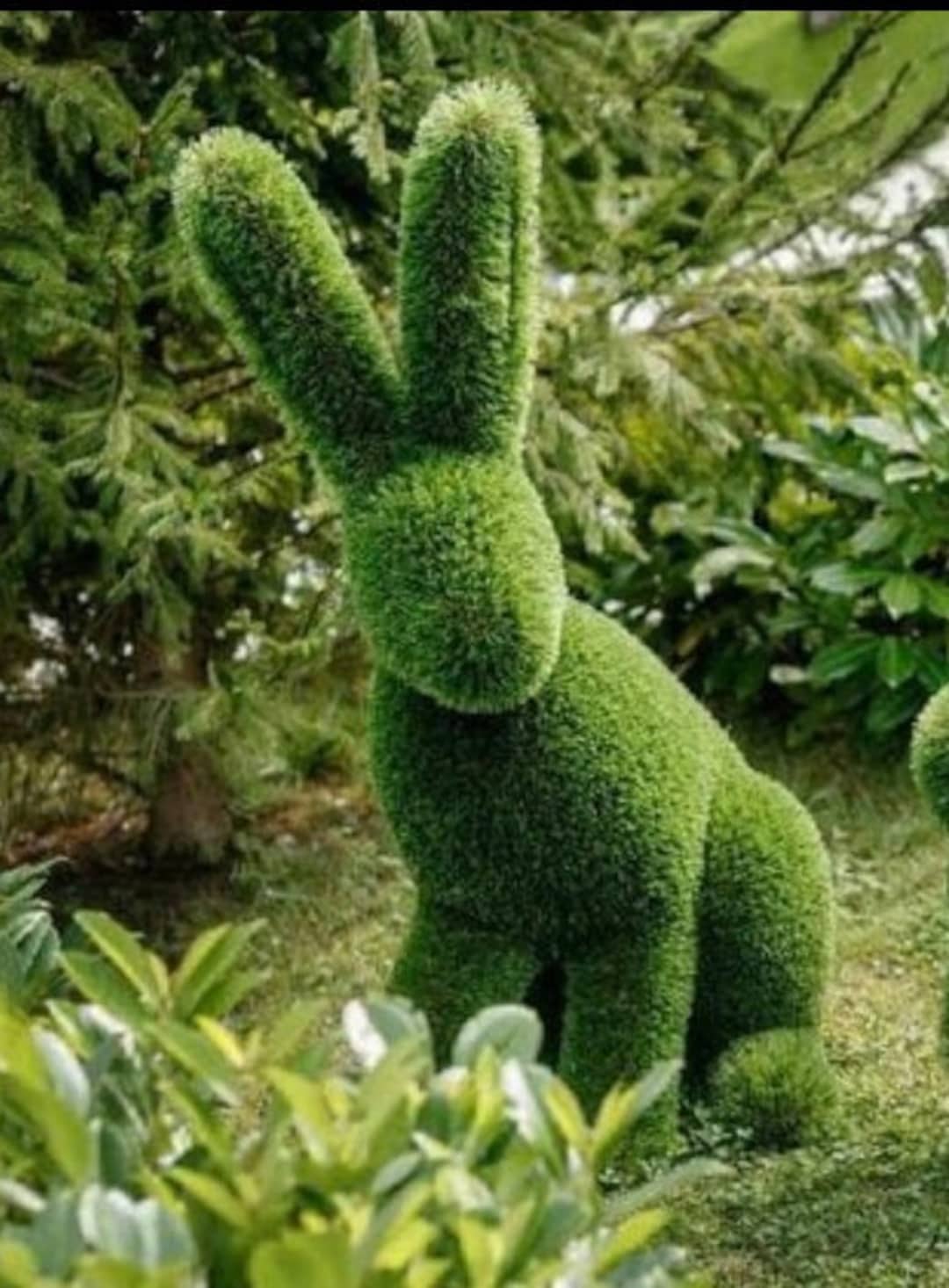 Outdoor Animal Standing Rabbit Topiary Green Figures 43" Covered in ...