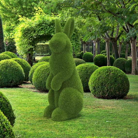 Boxwood Topiary Animals