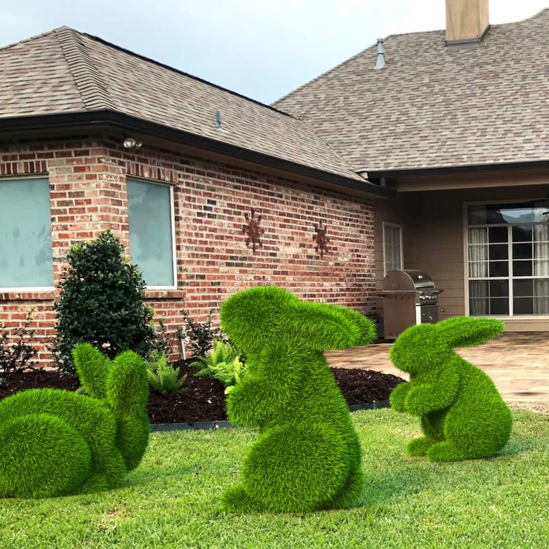 Topiary Frames - Etsy