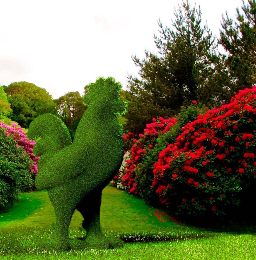 Artificial Grass Rooster Topiary: Outdoor Garden Decor (l44"xw32"xh68") - Etsy
