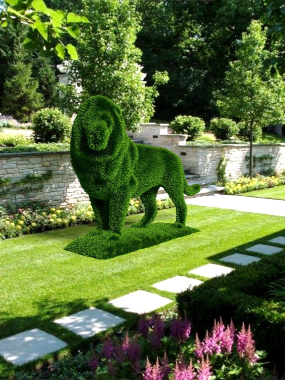 Animals Lion Grass Why Do Lions Eat And Vomit Grass?, Unlike