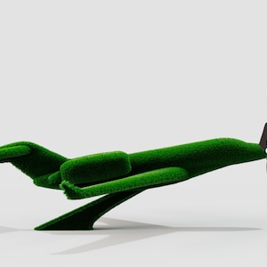Outdoor Plane, Aeroplane, Jet Topiary Green Figures Covered in ...