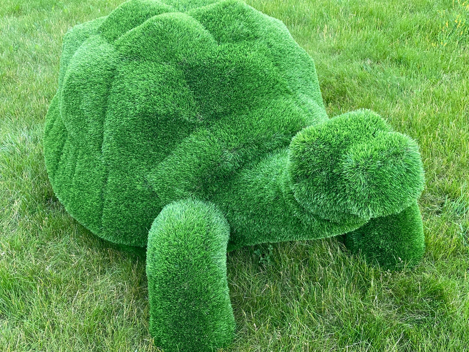 Outdoor Animal Turtle Topiary Green Figures Covered in Artificial Grass ...