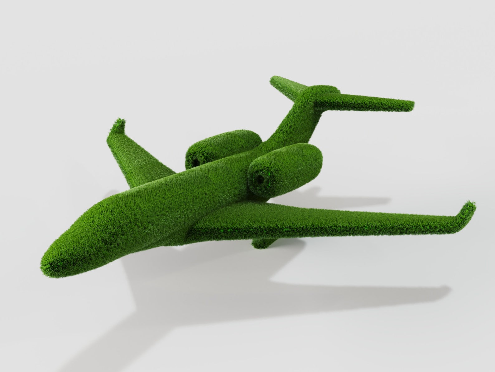 Outdoor Plane, Aeroplane, Jet Topiary Green Figures Covered in ...