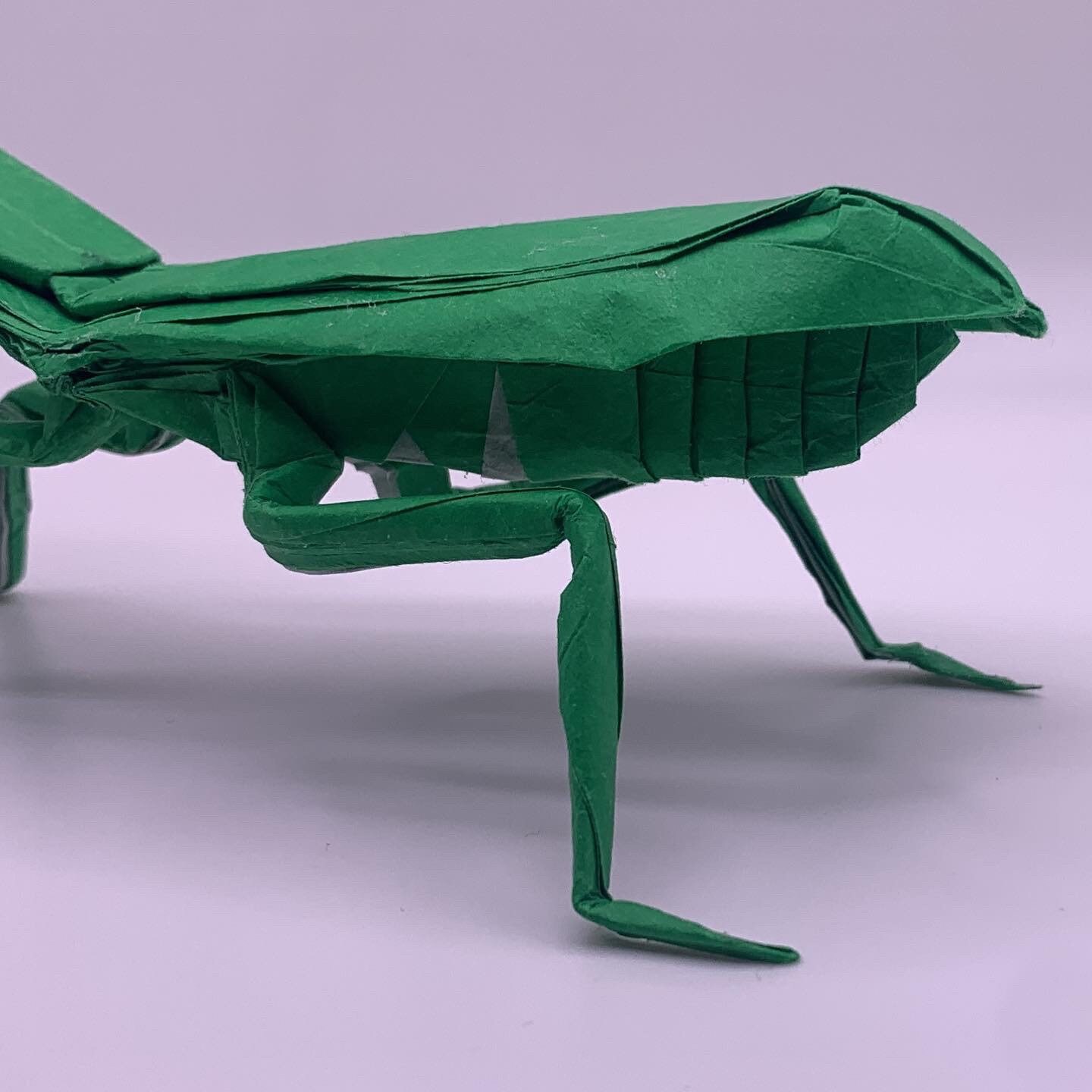 Origami Praying Mantis - Etsy